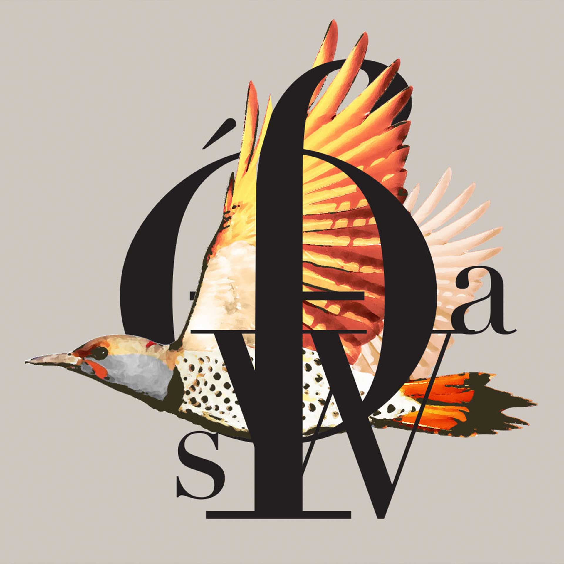 Decoding Mvskoke - Poarch Creek Indians